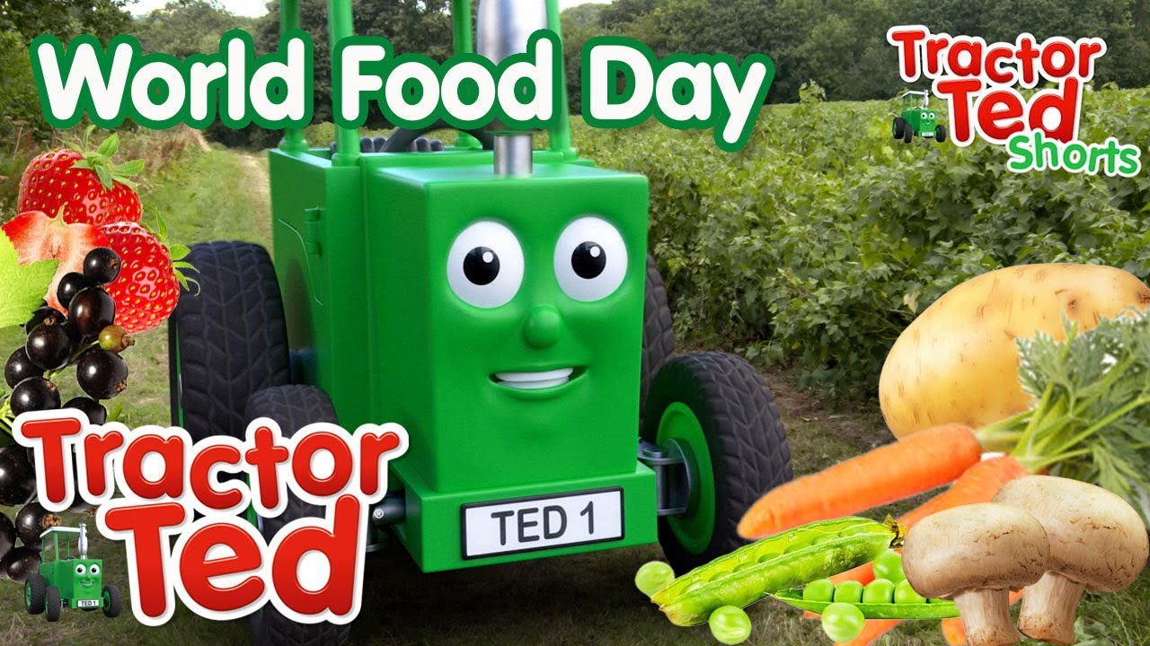 Food On The Farm | Tractor Ted World Food Day 🥔🍎🍓🥕 | Tractor Ted ...