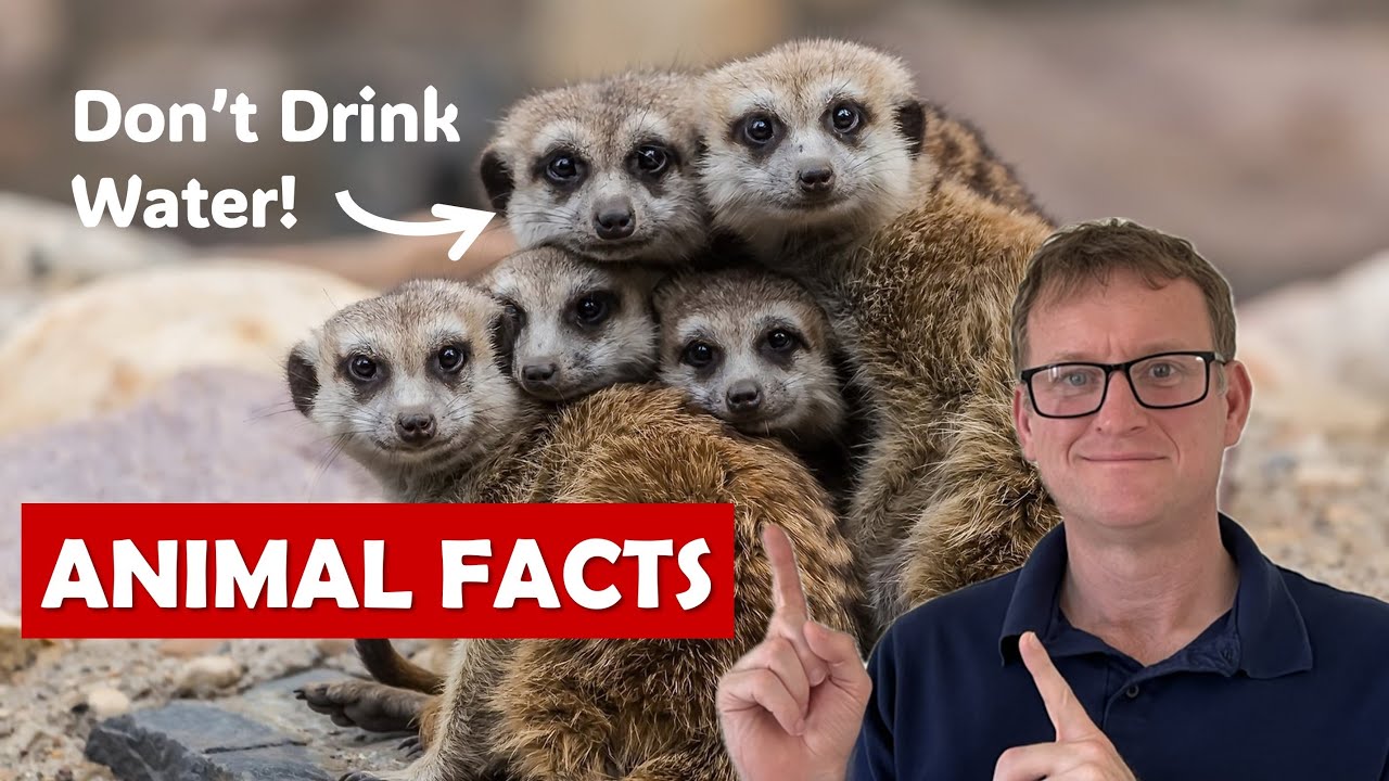A Zookeeper Reveals Their Favorite Animal Facts! (You Won’t Believe #3 ...