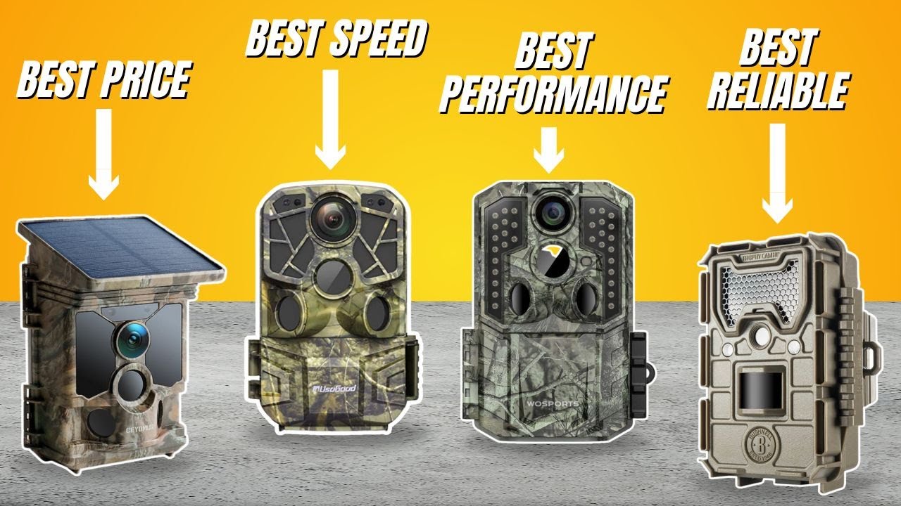Top 7 Best Night Vision Trail Cameras in 2023: Unbelievable Clarity ...