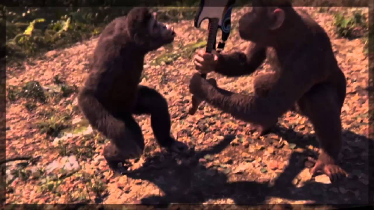 Hilarious Adventure | Adventures Of The Monkey | Monkey Dance Song ...