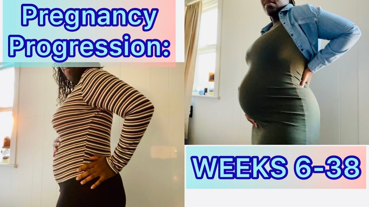 Plus Size Pregnancy Progression
