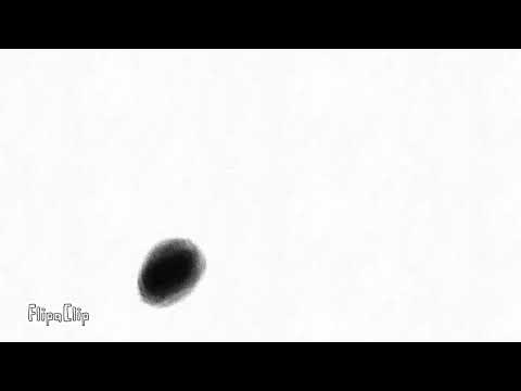 8 saniyelik zıplayan TOP animasyonu