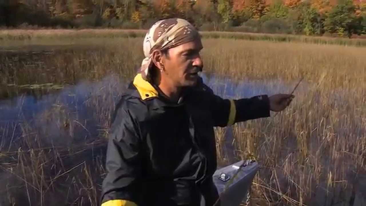 TP ELYSE ALLARD RIZ SAUVAGE - YouTube