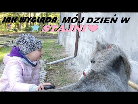 Jak wygląda mój dzień w stajni ? || Mgiełka || Opis ! ||