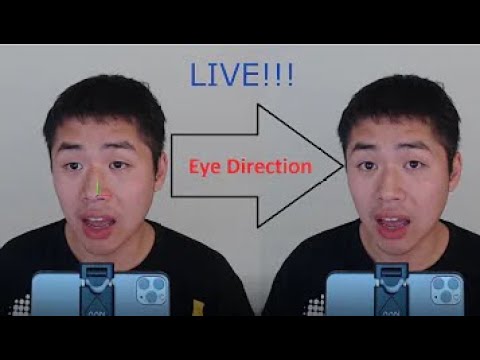 This App redirects your gaze / eyes to camera (in real time / pre ...