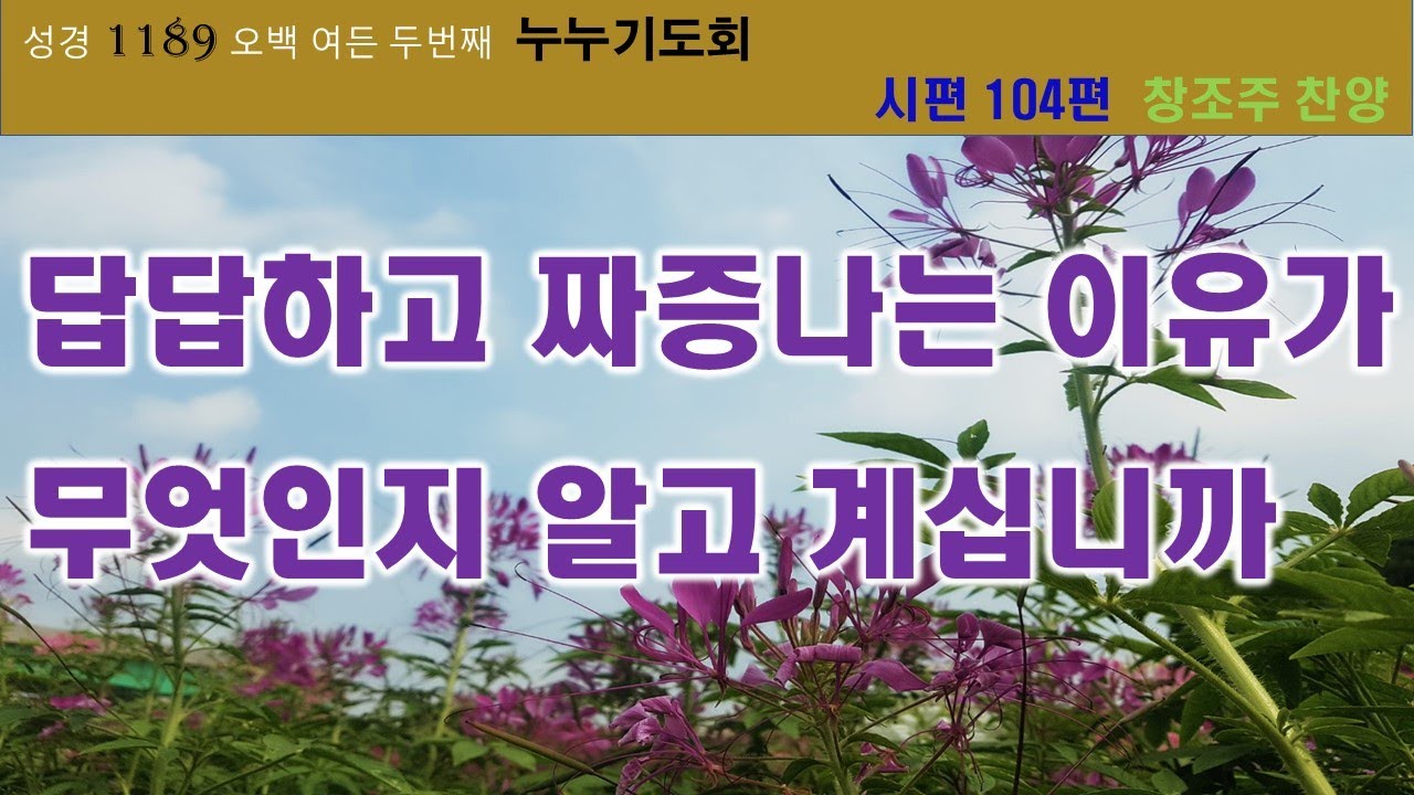 1189 누누기도회(582)시편104편(창조주 찬양) - YouTube