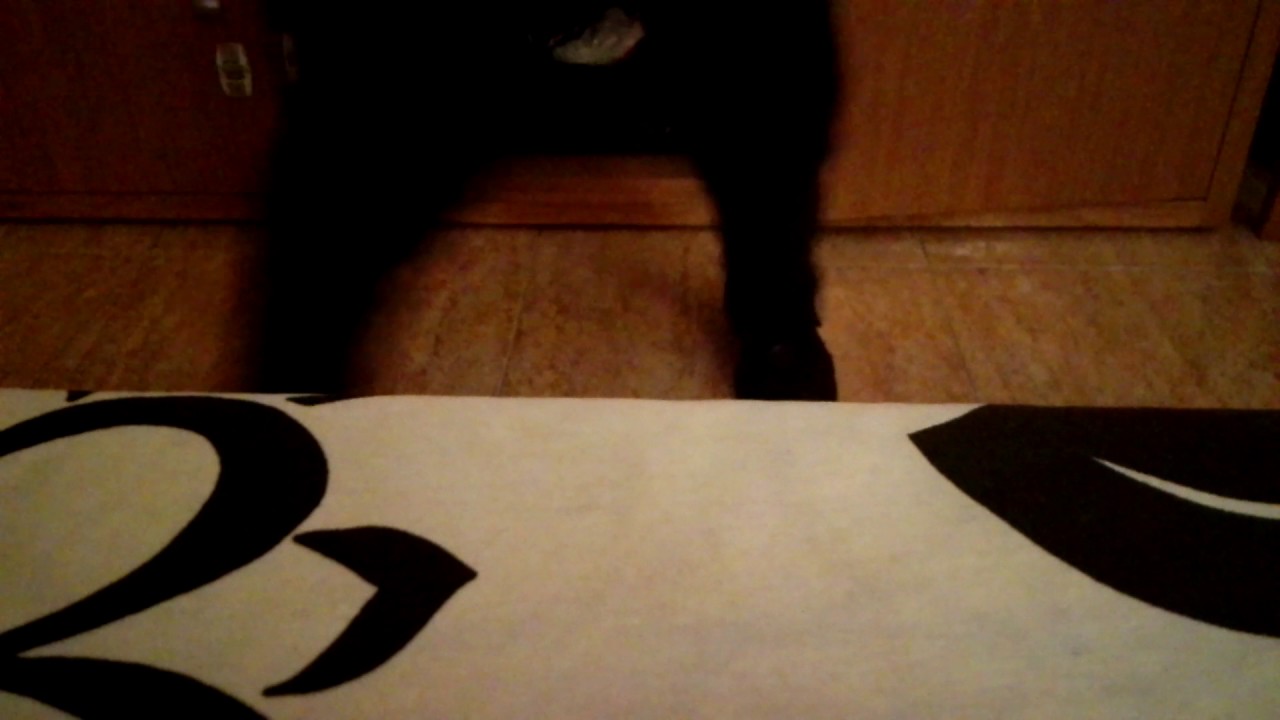 Pies locos - YouTube