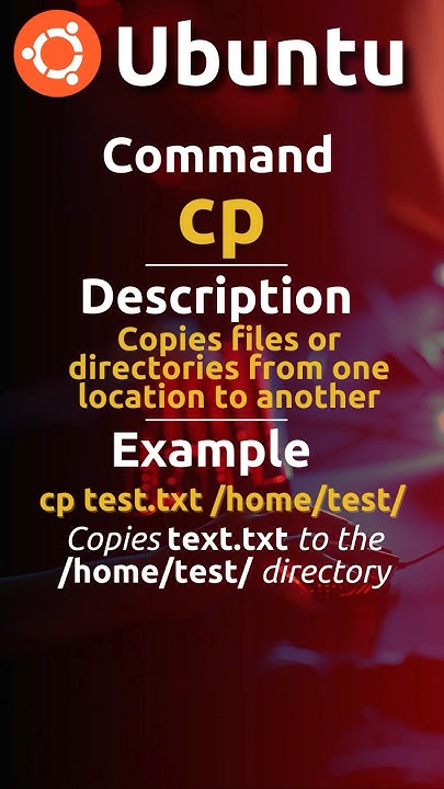 Cp command | Ubuntu Server - YouTube