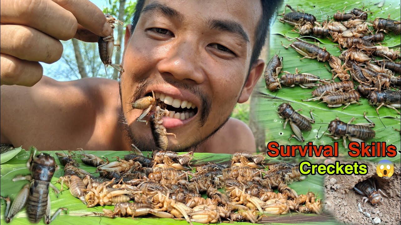 Survival Skills: Find Crickets In The Ground Grilled For Food - Cooking ...