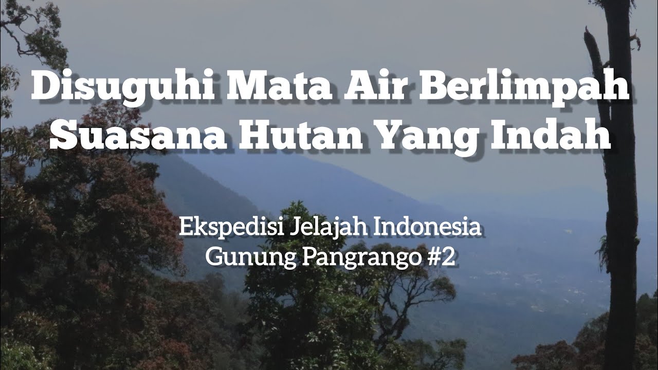 Ekspedisi Jelajah Indonesia | Hutan Dan Mata Air - Gunung Pangrango #2 ...