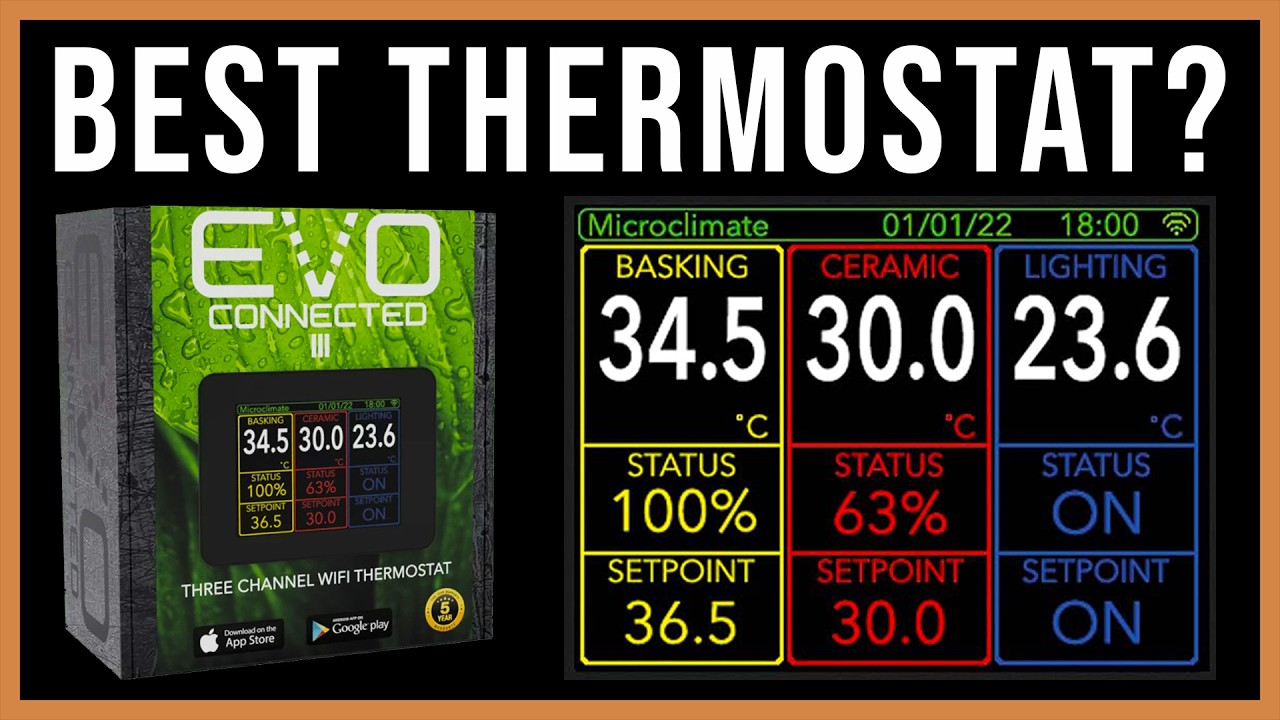 Microclimate Evo Connected 3 Review! Best Thermostat for Reptiles? - YouTube