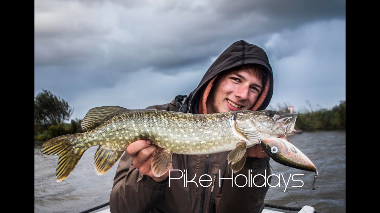 Pike Holidays - 5 Days of Pike Fishing - YouTube