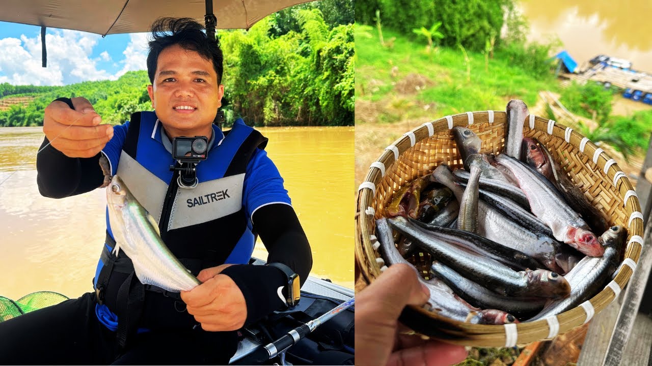 Đi Câu Không Xem Ngày và Cái Kết | Song Be River Fishing. - YouTube