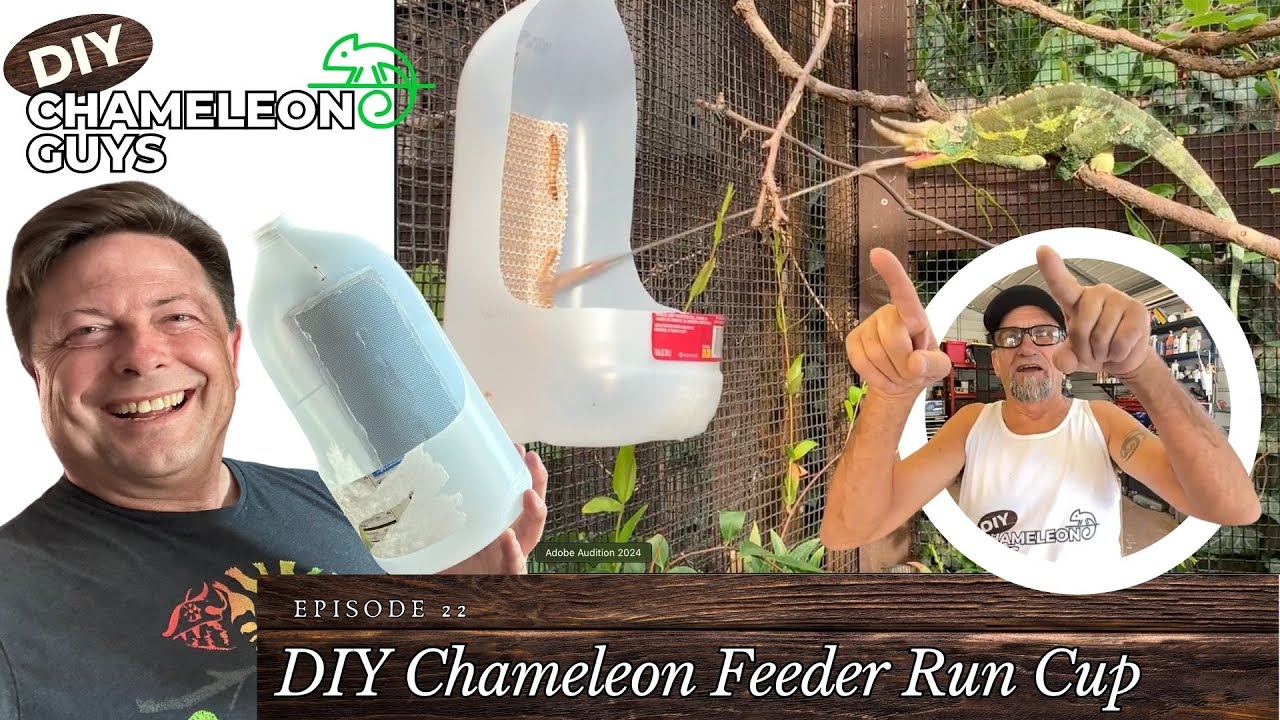 Make your own Chameleon Feeder Run Cup! - YouTube