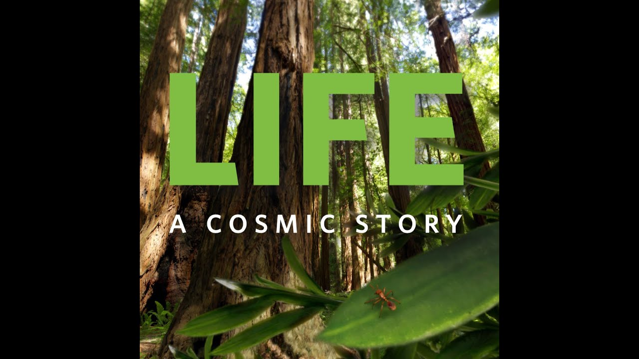 Life. A Cosmic Story. Trailer - YouTube