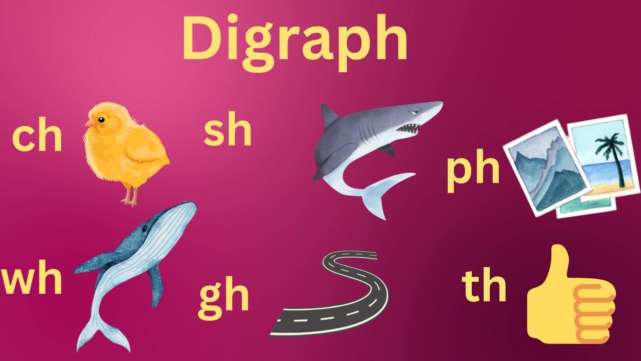 Phonics....Digging into Phonics Digraph !!! - YouTube