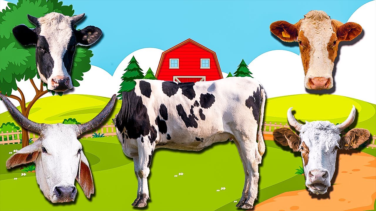 CUTE ANIMALS Kuda, Bison, Horse, Elephant, Giraffe, Tiger, Lion, 들소 ...