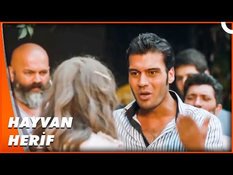 Esin Arabayla Şevkat'in Dükkanına Giriyor | Şevkat Yerimdar