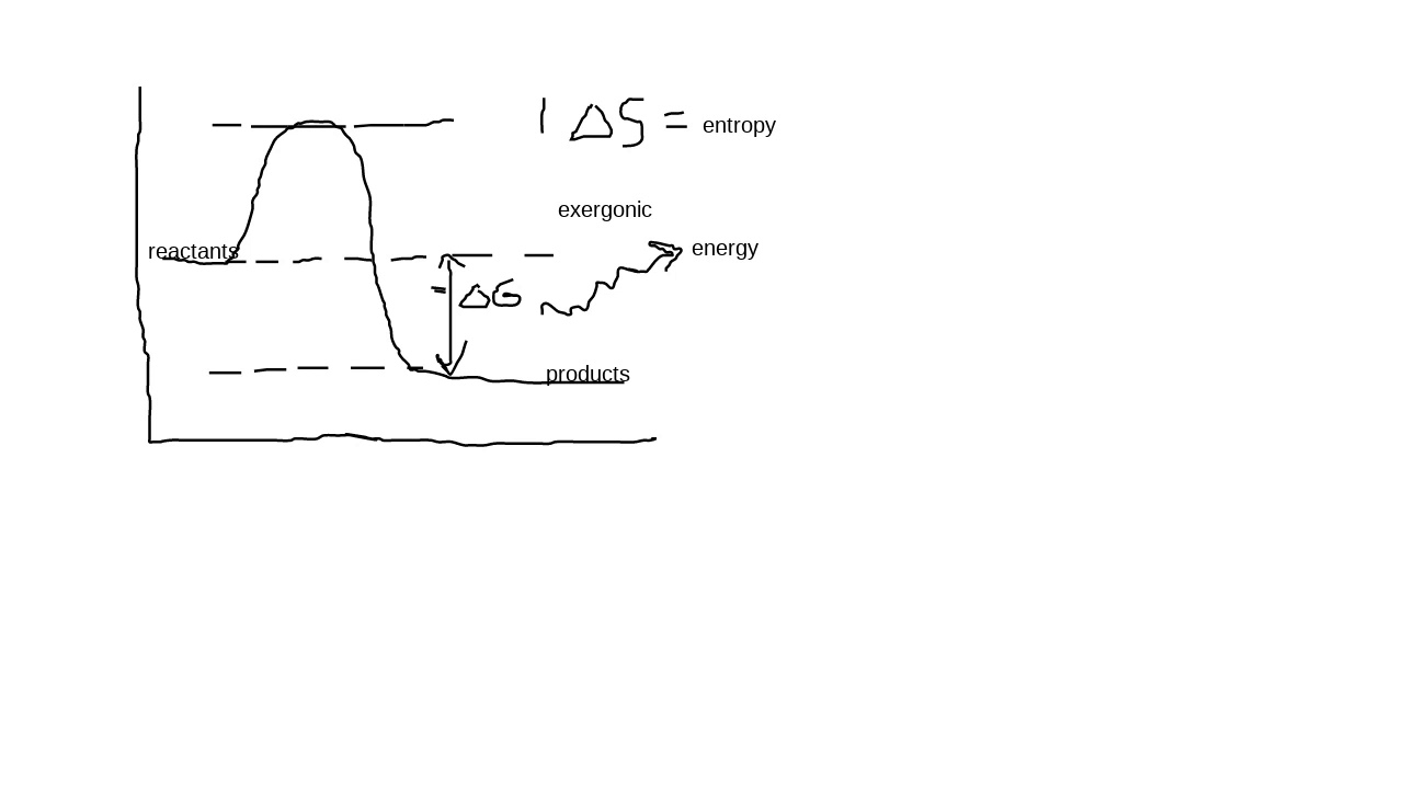 AP Bio Review session Enzymes - YouTube