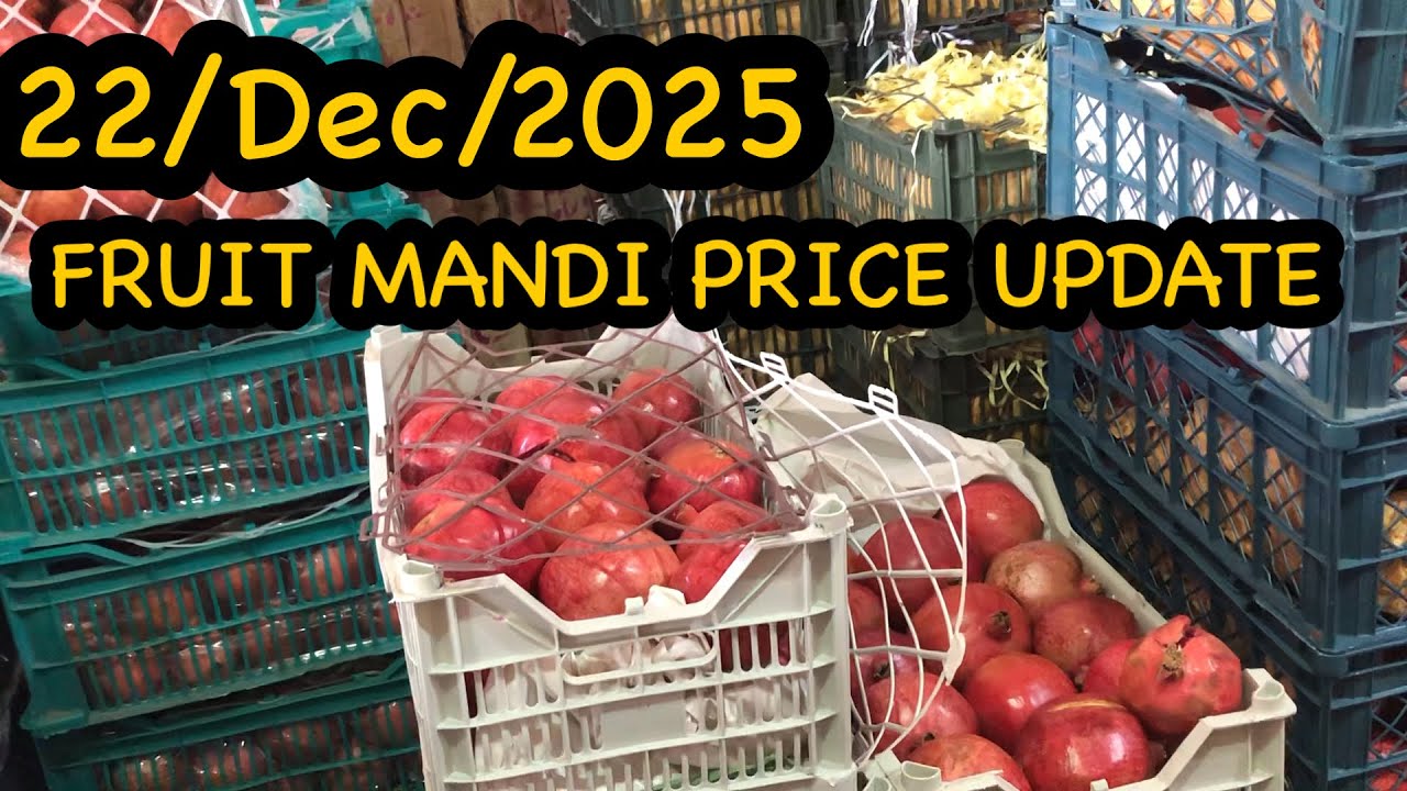 KARACHI FRUIT MANDI PRICE UPDATE MINI VLOG 22/12/25 - YouTube