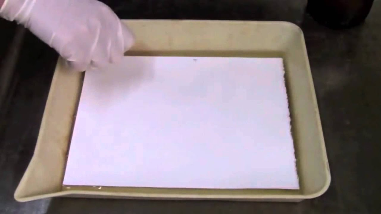 Albumen process - YouTube