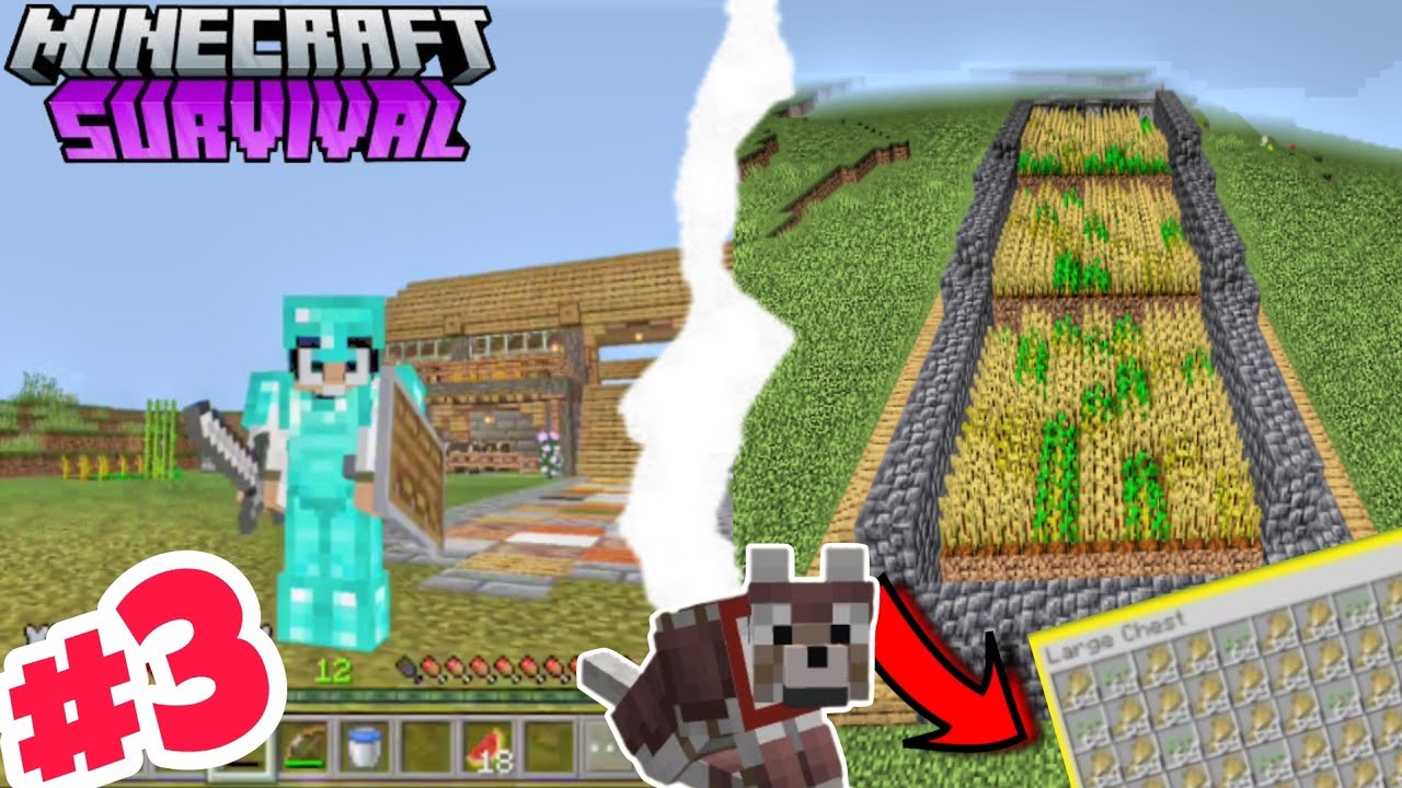 I Made Full Diamond Armour And Wheat Farm🔥| Minecraft PE Survival ...