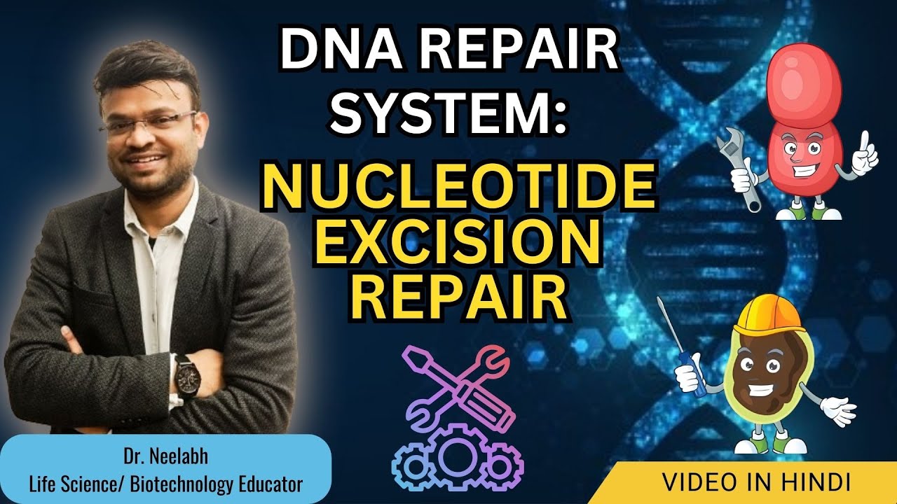 DNA REPAIR SYSTEM: NUCLEOTIDE EXCISION REPAIR|| Complete Detailed ...