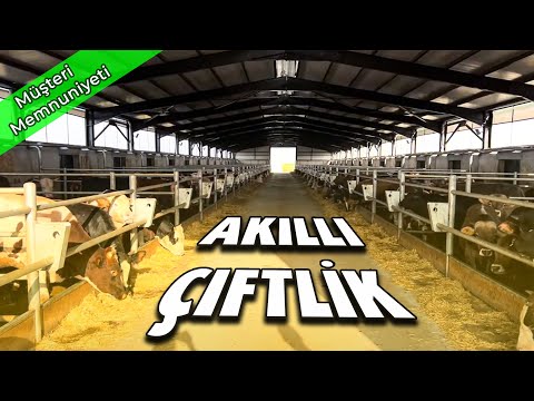 AKILLI ÇİFTLİK MAHMUDİYE EŞREF ŞEKERLİ | MÜŞTERİ MEMNUNİYETİ