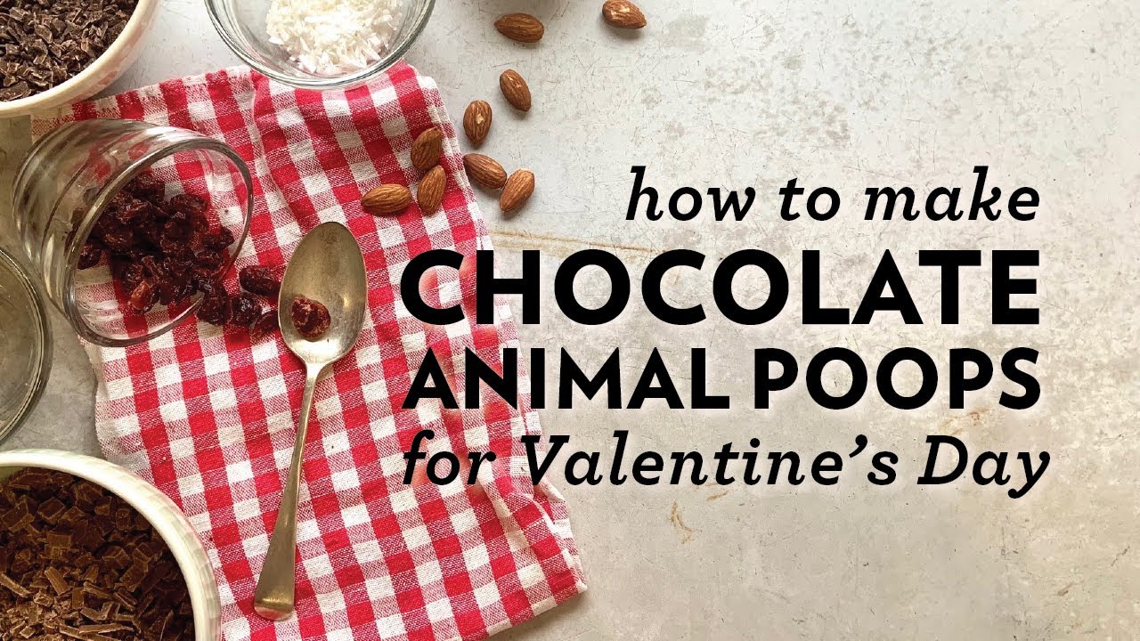 How to: make chocolate animal poops - YouTube