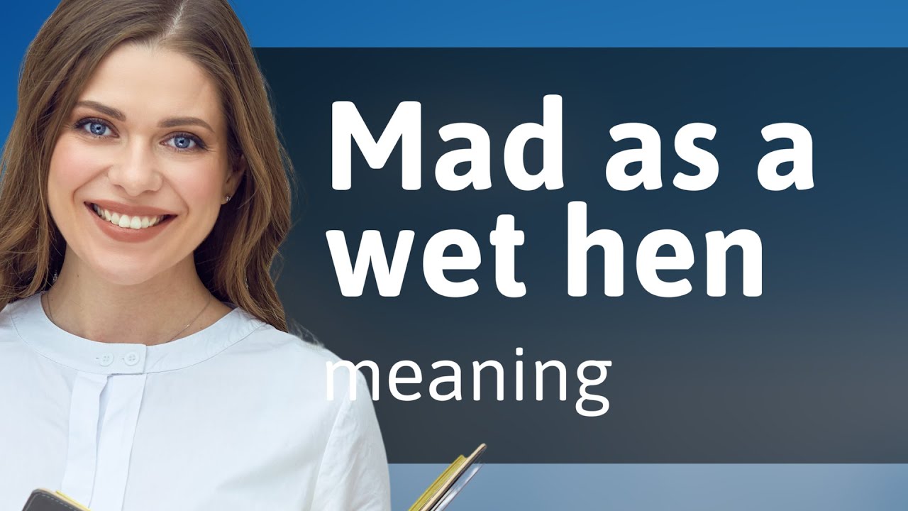 Understanding Idioms: "Mad as a Wet Hen" - YouTube