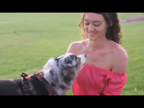 Haley Tibbs - Marvelous - YouTube