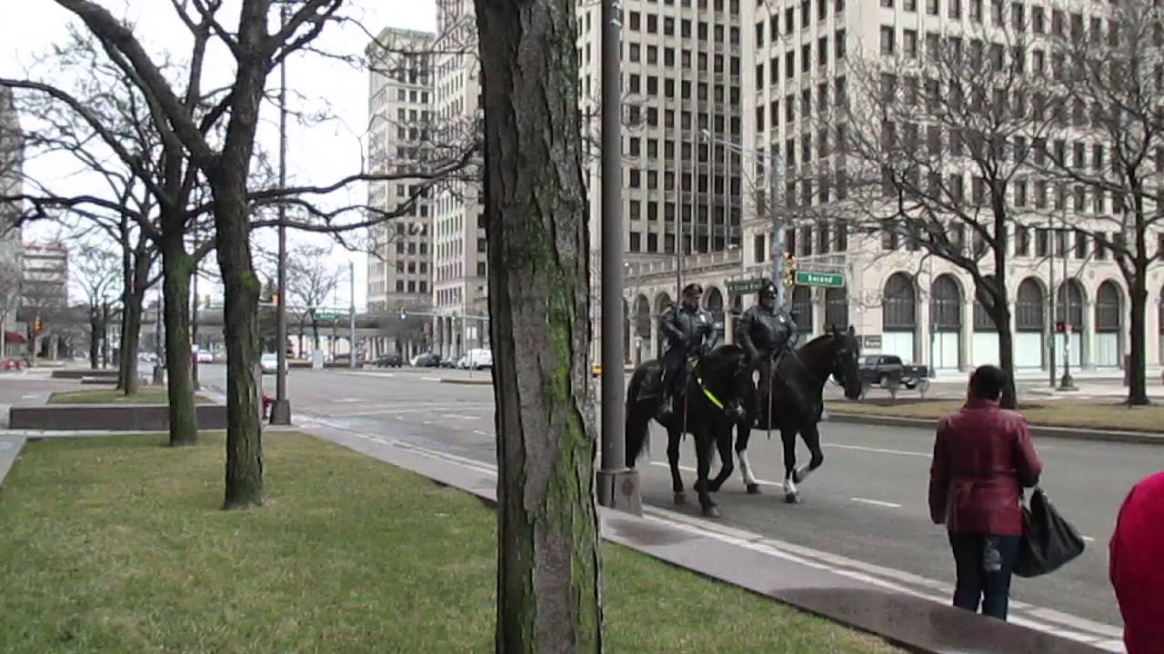 Cool People: Detroit Mounted Police - YouTube