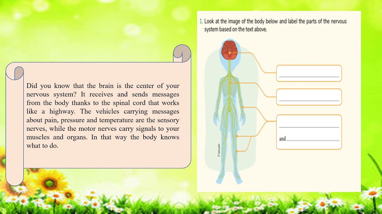 PROJECT 8 WEEK 6 27 THE SYSTEMS OF THE HUMAN BODY - YouTube