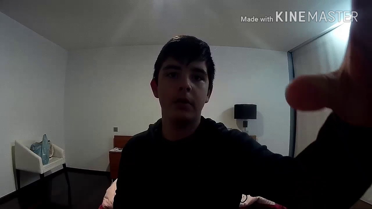 5 motivos para ter pardais-de-java - YouTube