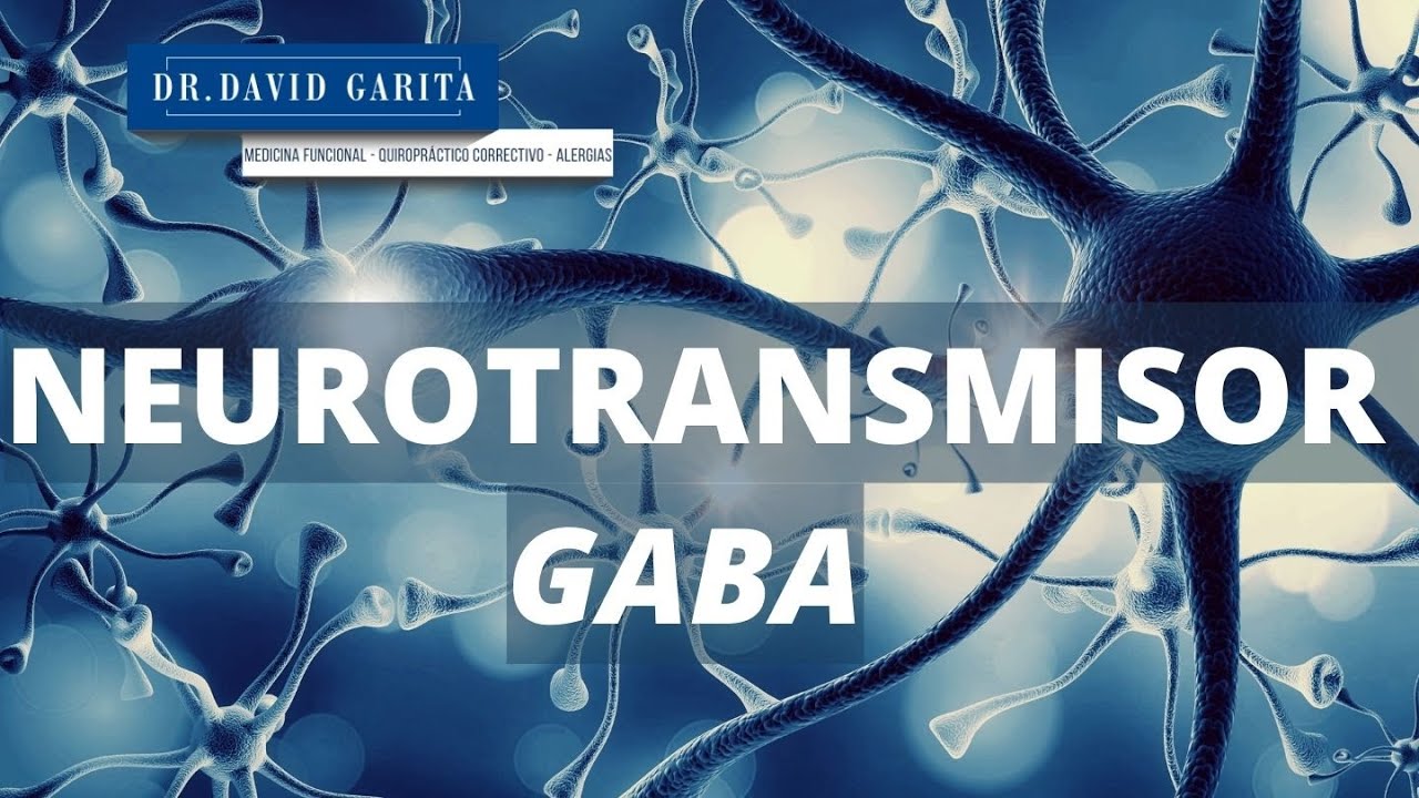 NEUROTRANSMISOR GABA ¿QUÉ ES Y CÓMO FUNCIONA? - YouTube