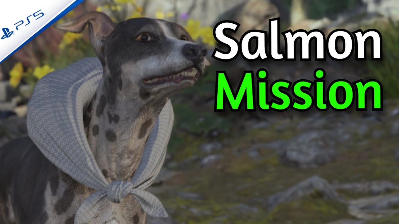 Final Fantasy VII Rebirth | Salmon Side Mission - YouTube