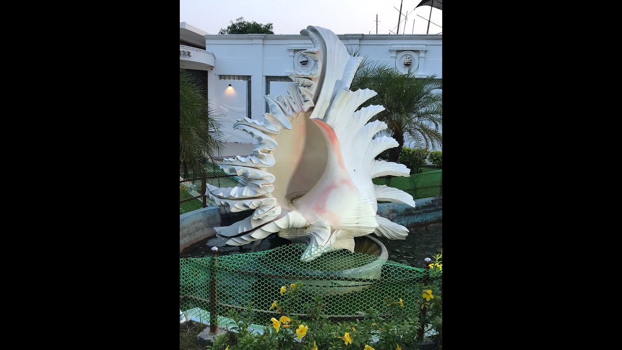 Shell Museum Chennai - YouTube