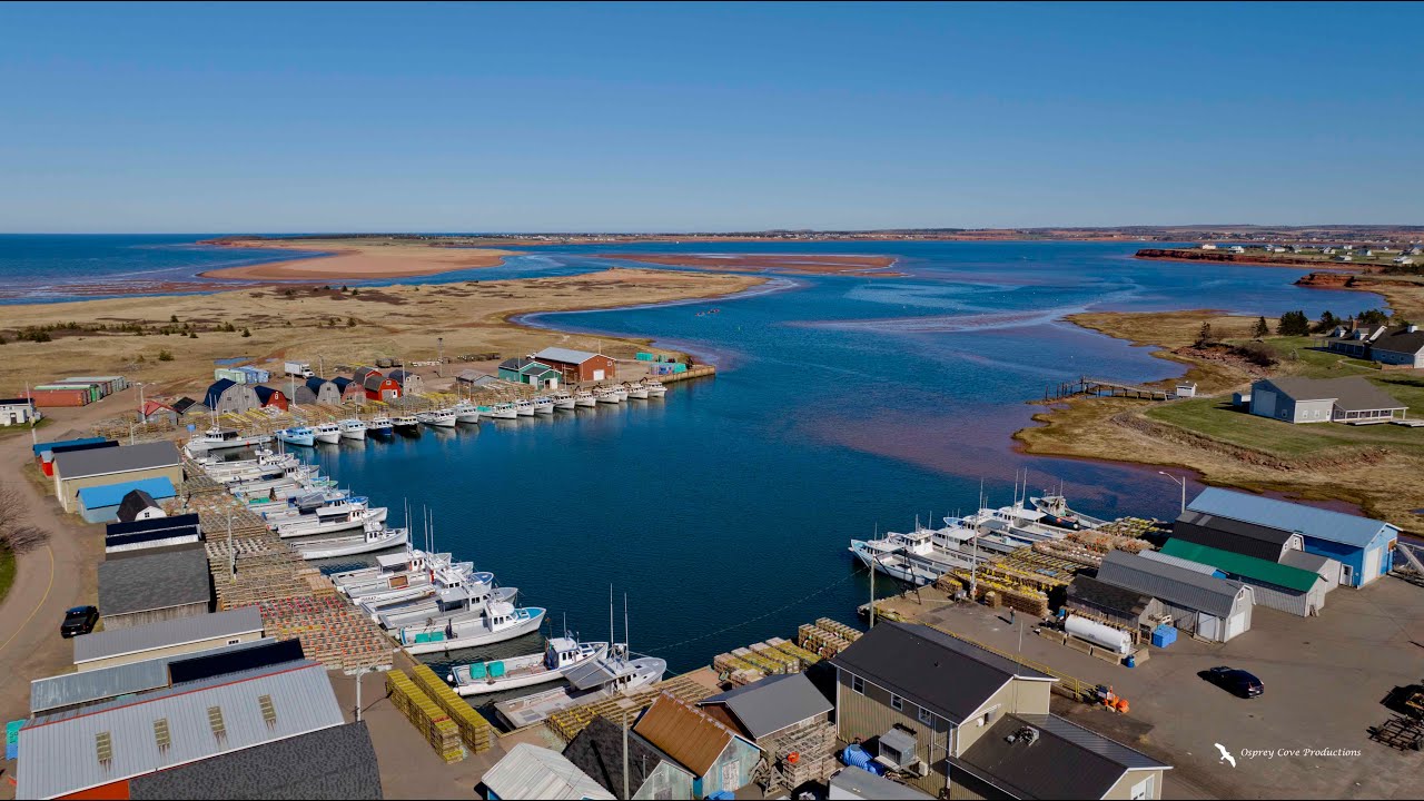 Stunning Aerial Views of Beautiful Malpeque Harbour PEI, in 4K ...