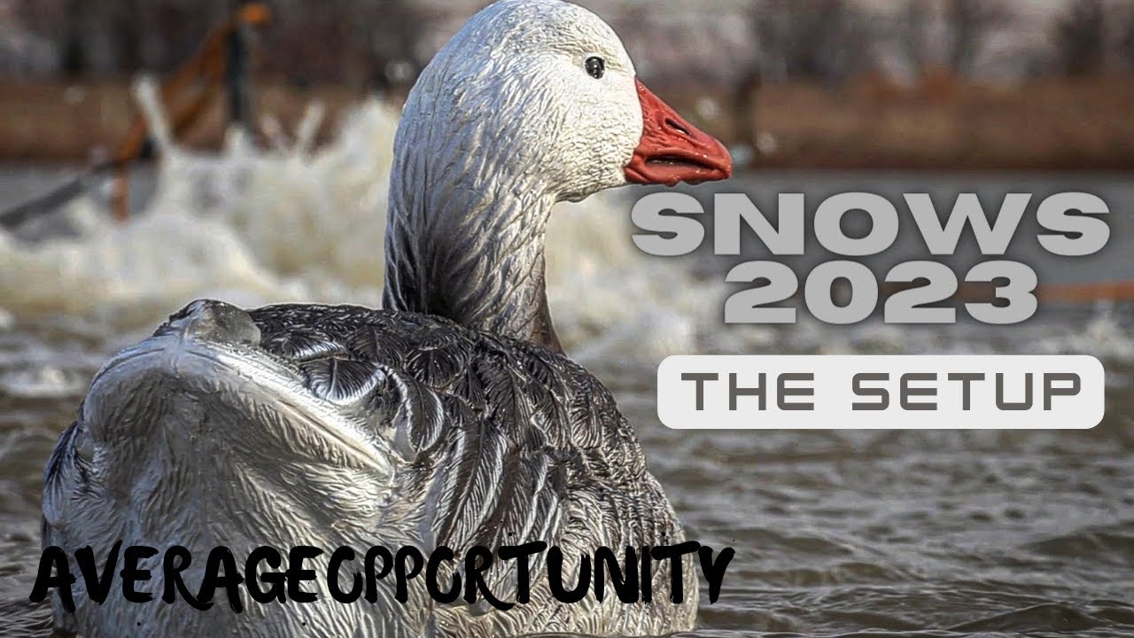 Snow Goose Floaters. Setting Up For Snow Geese Over Water - YouTube