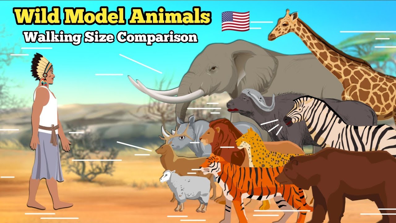 Wild Animals Walking Size Comparison | Prehistoric Animals Size ...