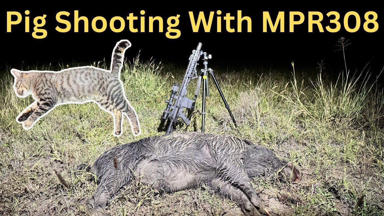 The MPR308 Is My New Favourite Rifle! - YouTube