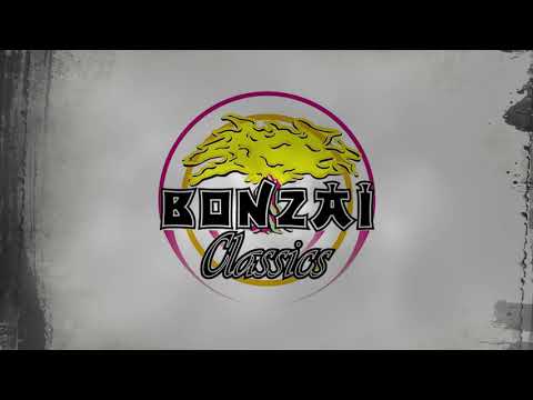 DJ JAN vs VanDueren  Rock Da House promotional video
