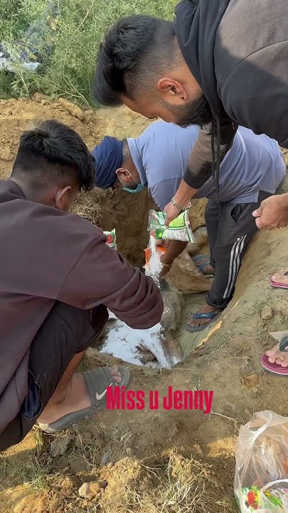 Rip Jenny #rip #doglover #like - YouTube