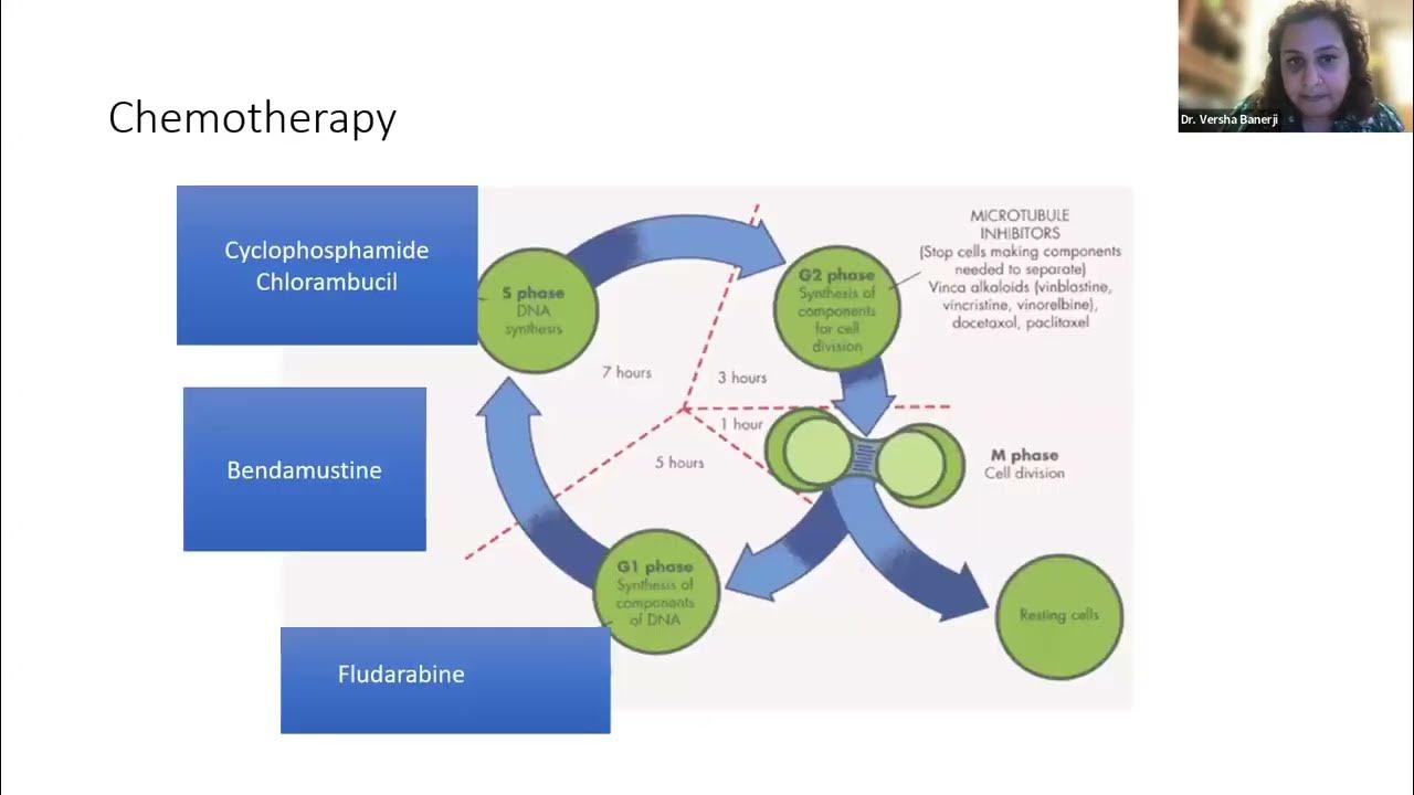 New Treatment Guidelines to Chronic Lymphocytic Leukemia (CLL): Latest ...