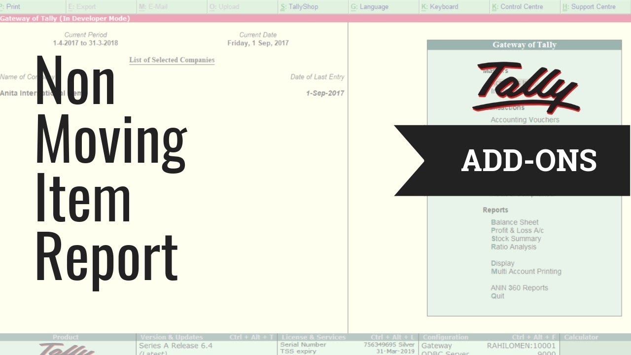 307 Non Moving Item Report Tally AddOns By Anita International YouTube 307-non-moving-item-report-tally-addons-by-anita-international-youtube