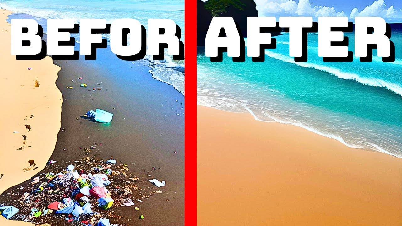 From Trash to Treasure: Island Saver's Mission to Clean Up the Island ...