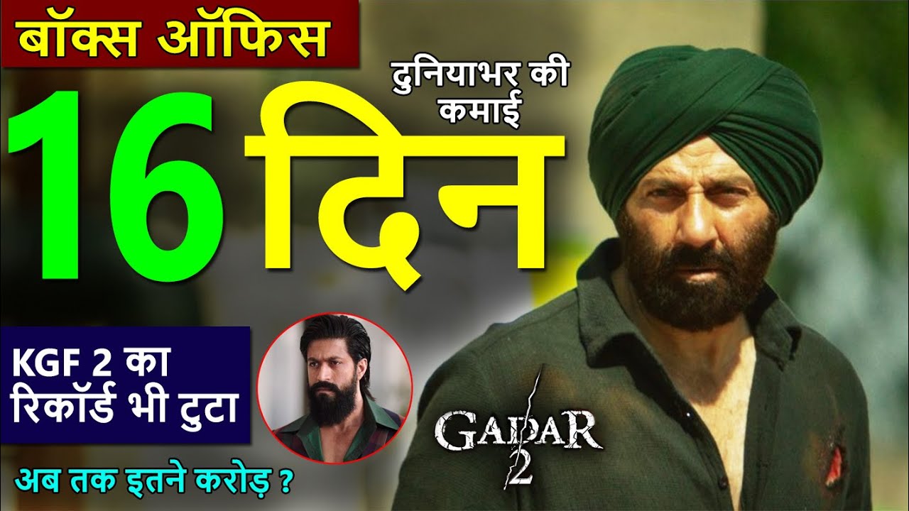 Gadar 2 box office collection day 16, gadar 2 worldwide collection ...