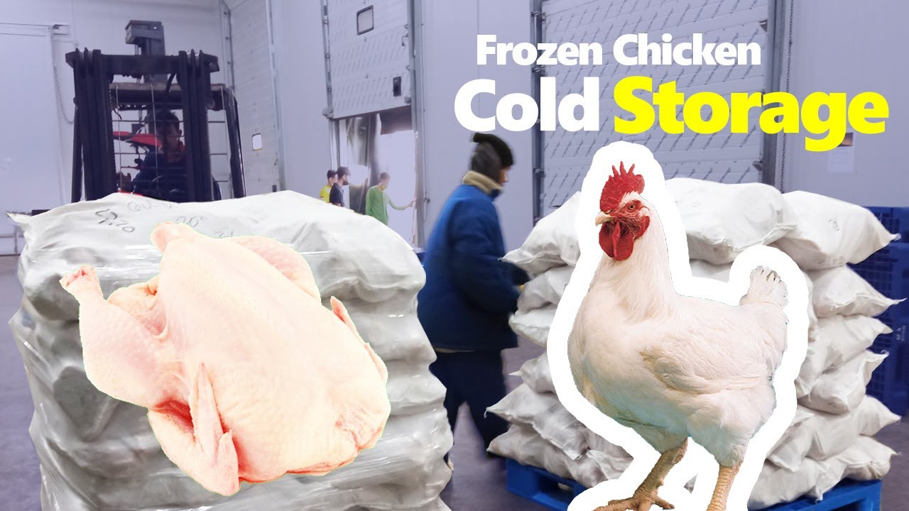 Gudang Ayam Beku - Frozen Chicken Cold Storage & Frozen Food # ...