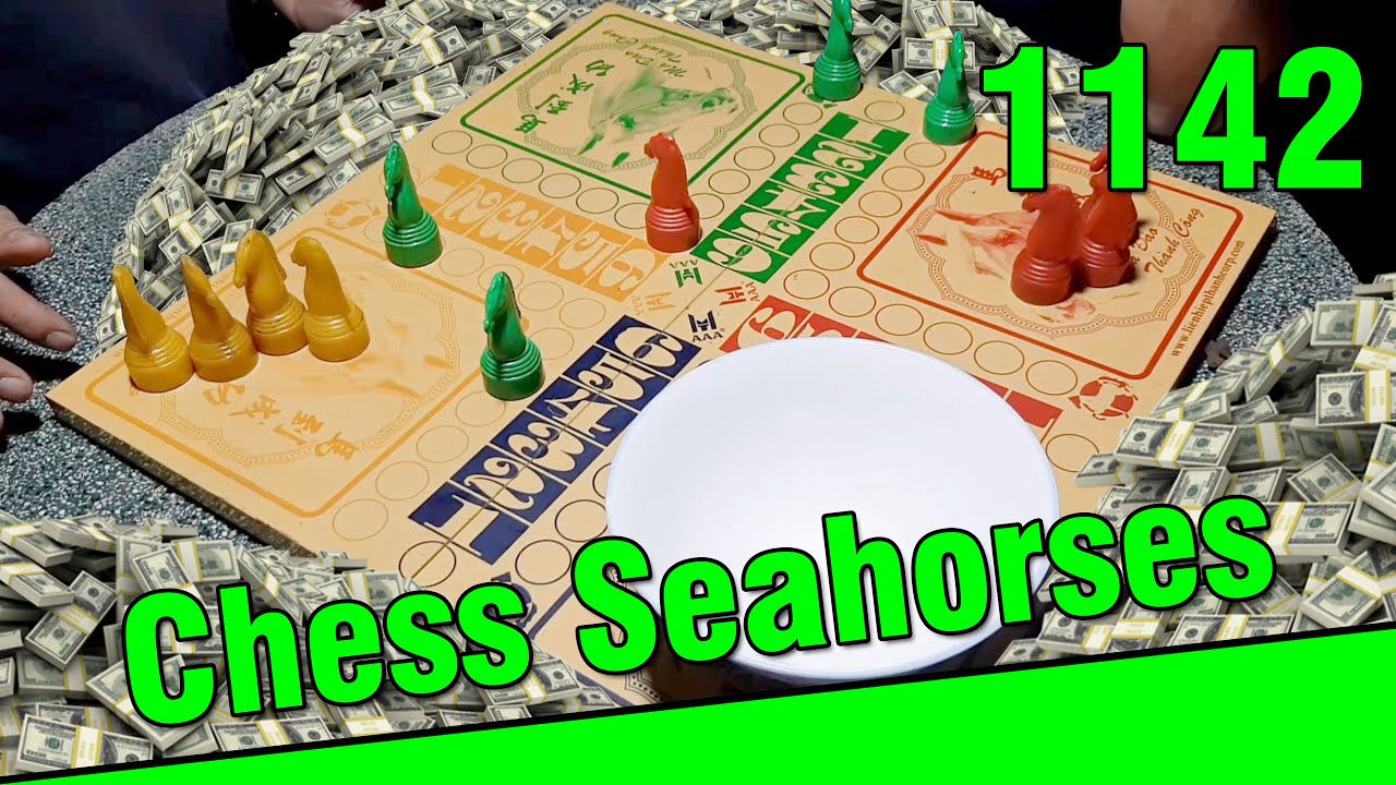 Chess 1142 - Seahorses !!! - YouTube