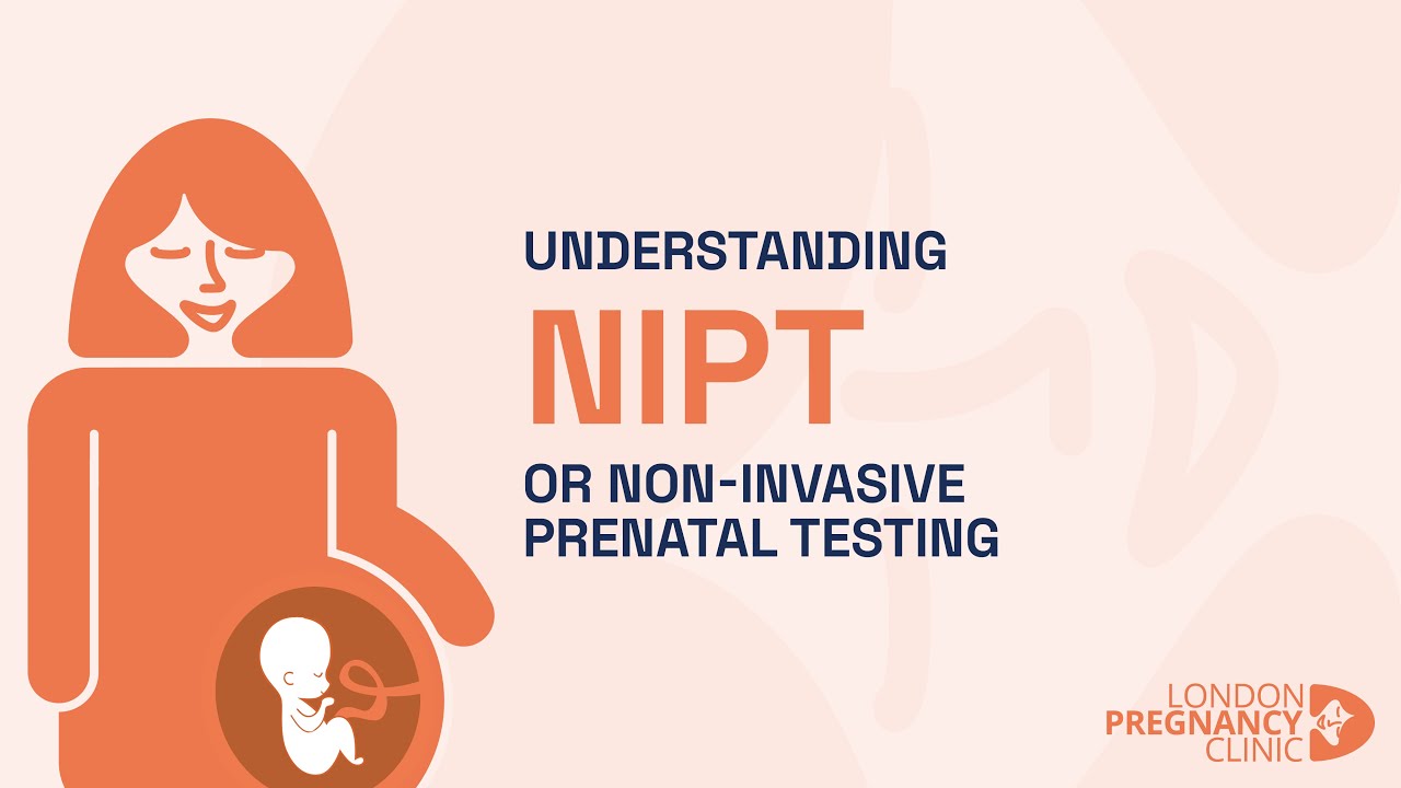 NIPT vs NT Scan: Your Ultimate Guide to Making the Right Choice ...